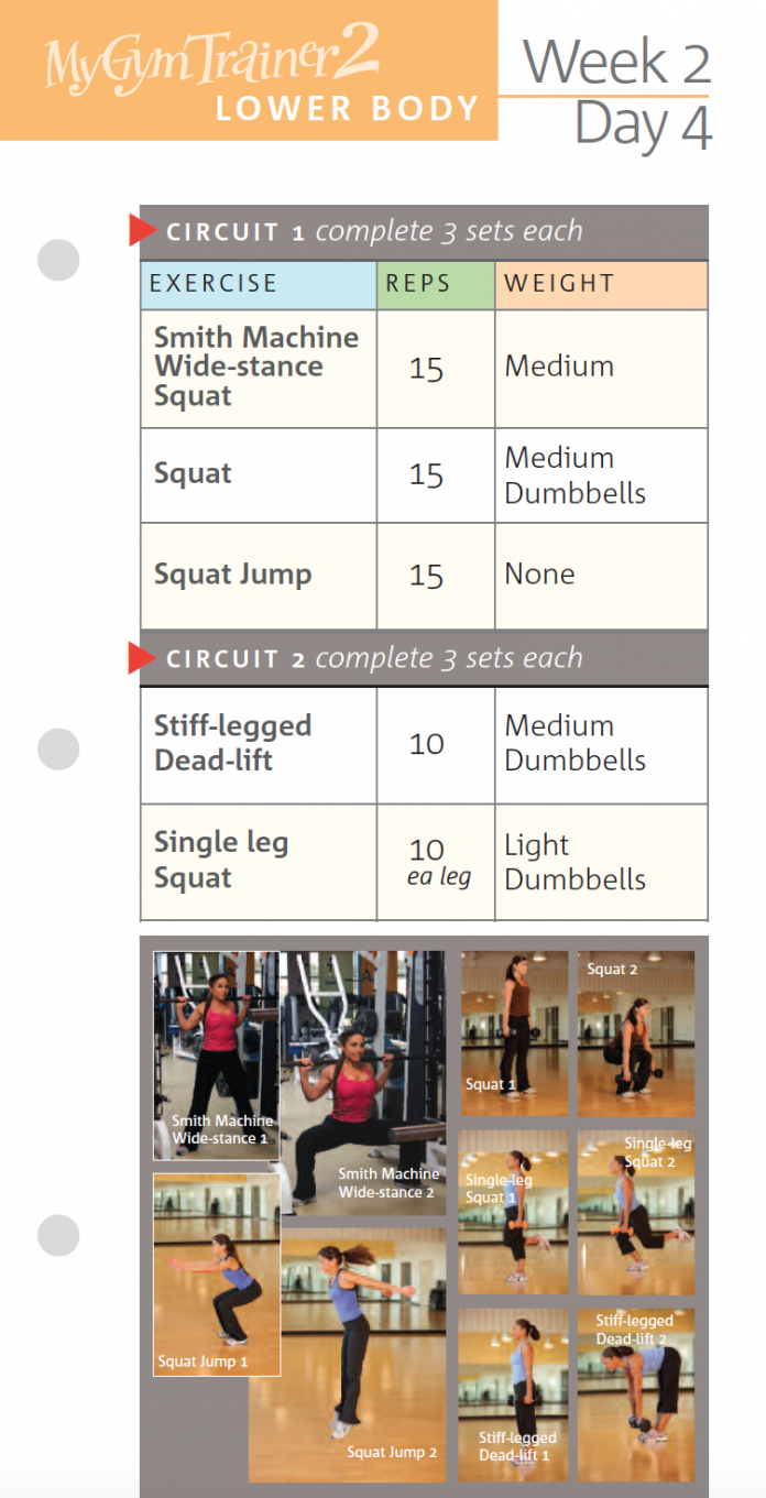 Smith Machine Workouts and Gym Equipment - My Trainer Fitness